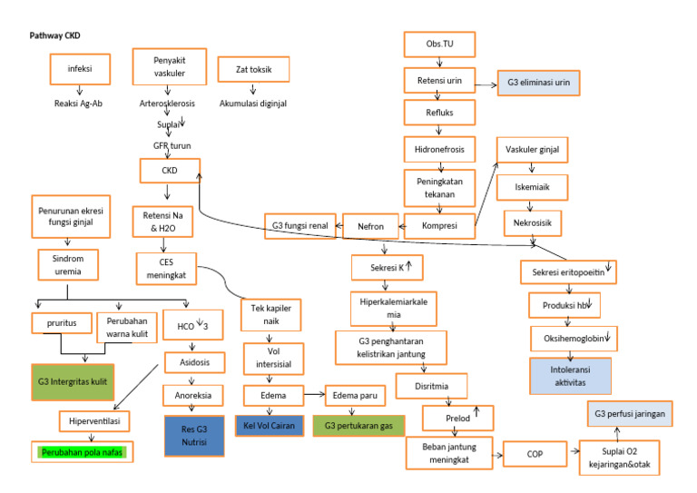 pathway CKD Lalaaaa 2 | PDF