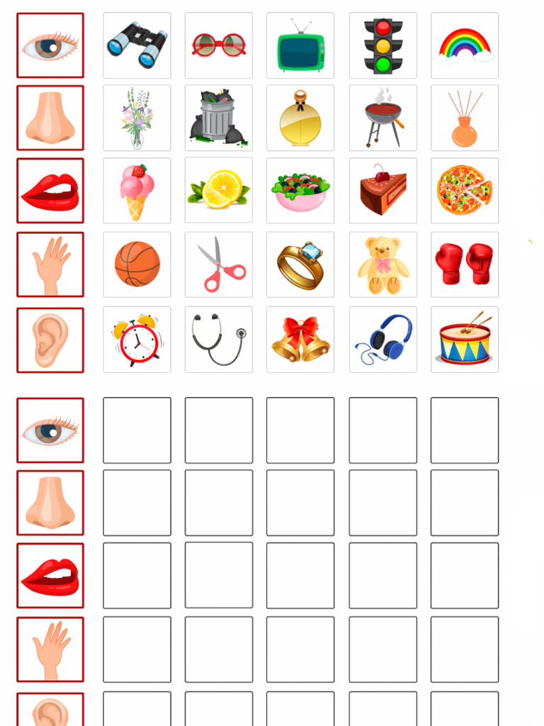 Wunderkiddy The Five Senses | PDF