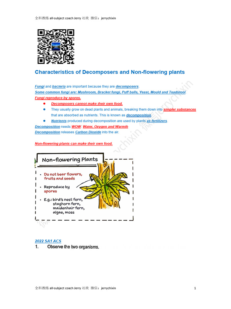 P6 Science 2022 SA1 - 03. Characteristics of Decomposers and Non ...