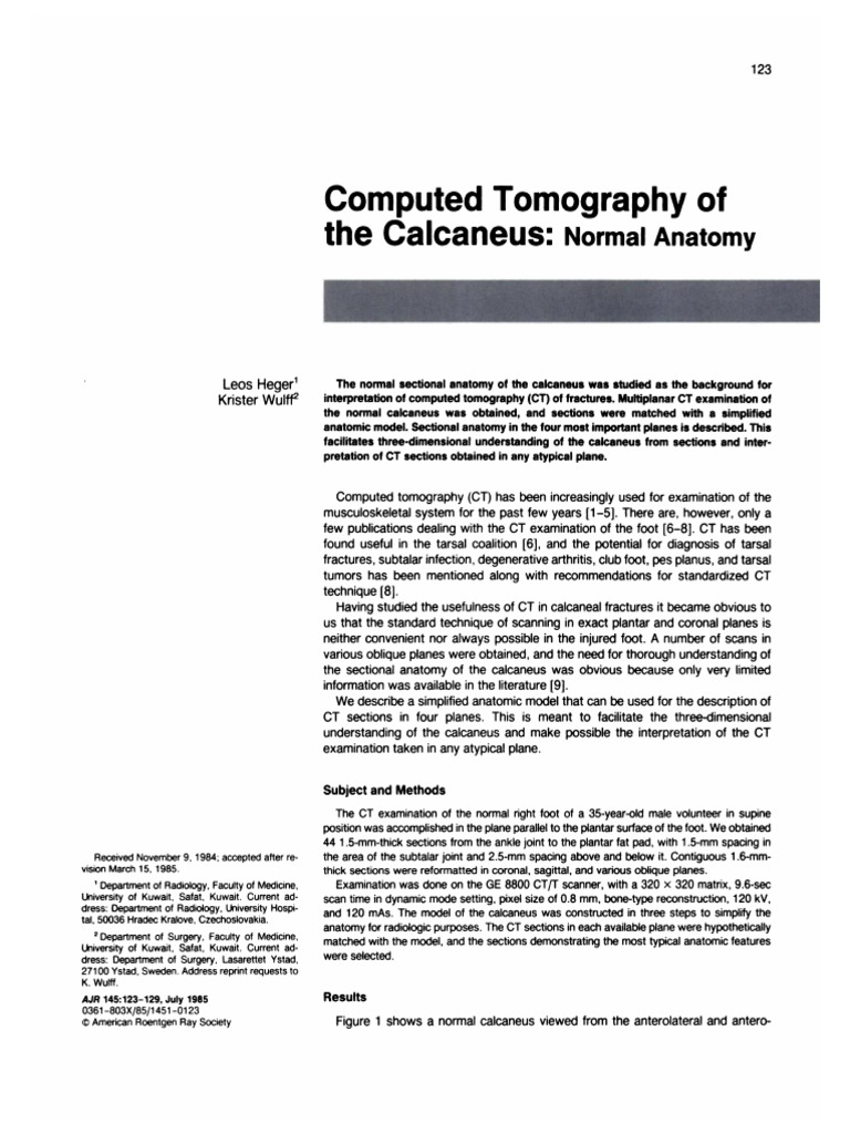 Heger Wulff 2012 Computed Tomography of The Calcaneus Normal Anatomy ...