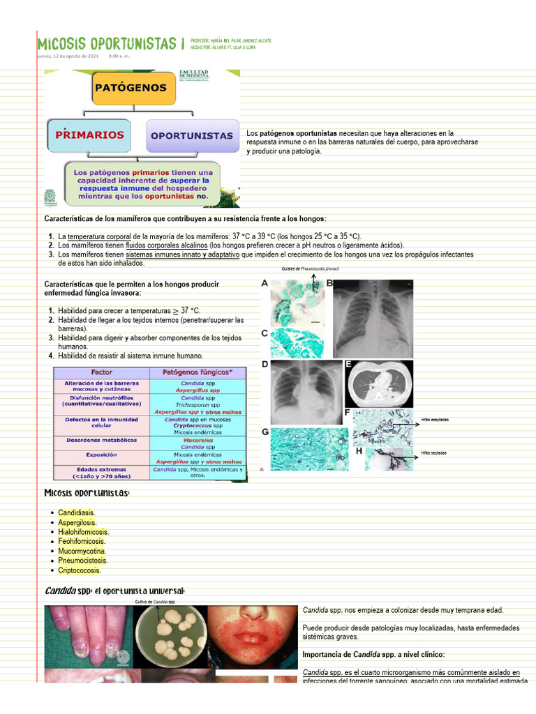 Patogénesis y Epidemiología de Candida spp. | PDF | Sistema inmune ...