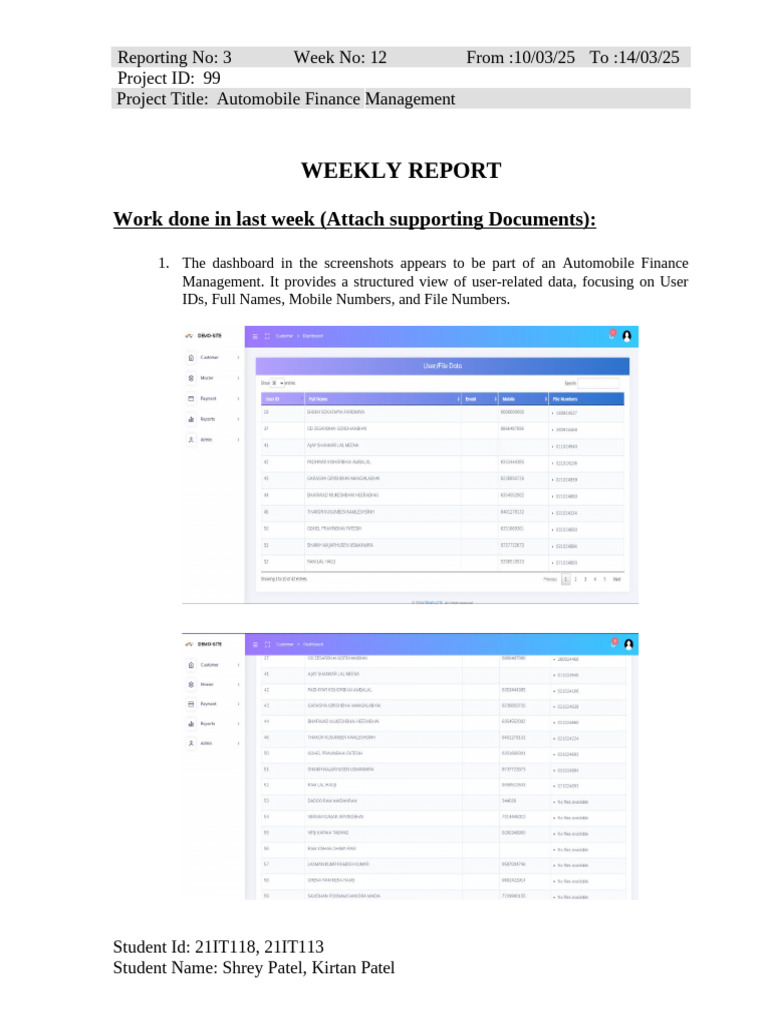 Weekly Report on Auto Finance Management | PDF