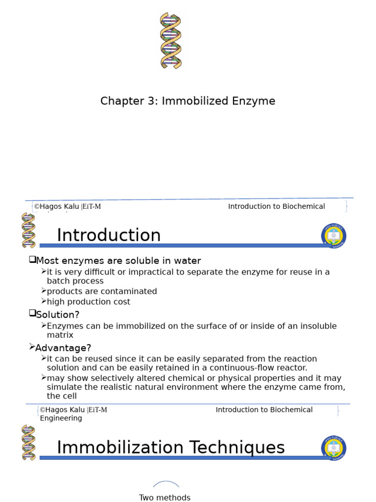 Chapter 3 - Immobilization of Enzymes | PDF | Enzyme | Diffusion