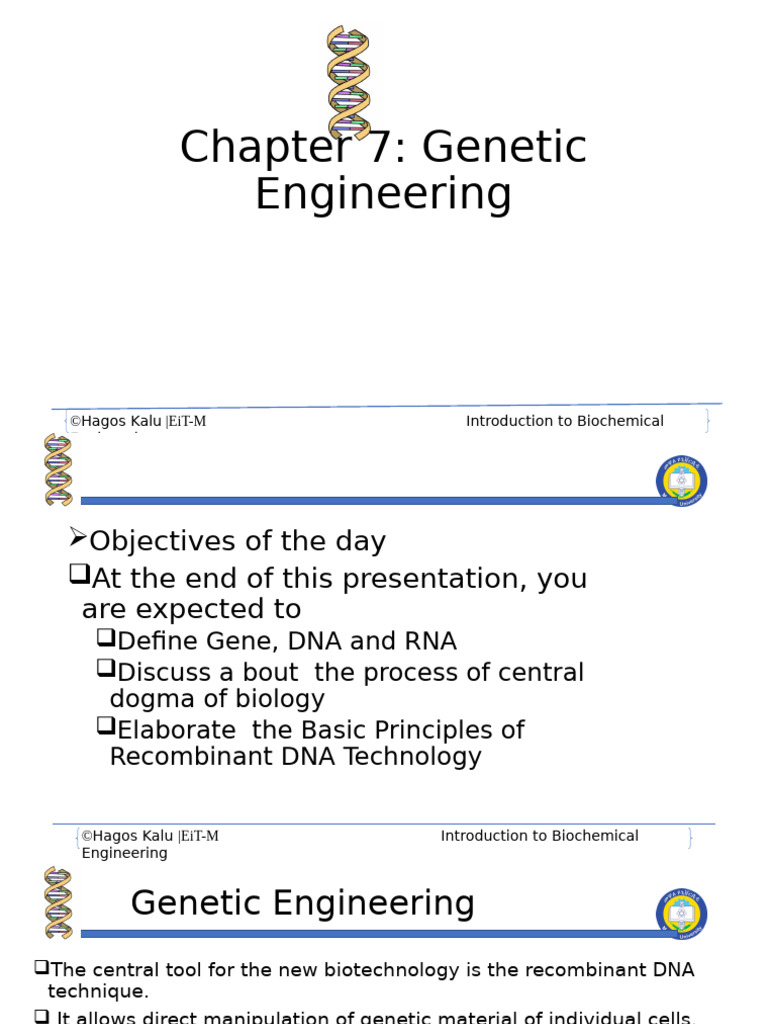 Chapter 7 - Genetic Engineering | PDF | Molecular Cloning | Messenger Rna