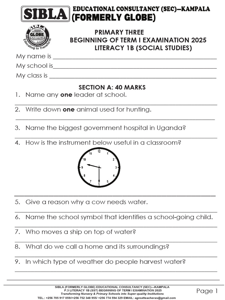 P3 Literacy SST Exam Term 1 2025 | PDF
