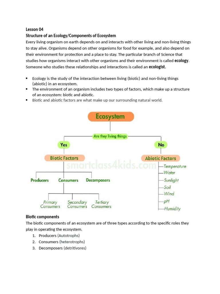 Ecosystem Structure and Components | PDF | Ecosystem | Pollination