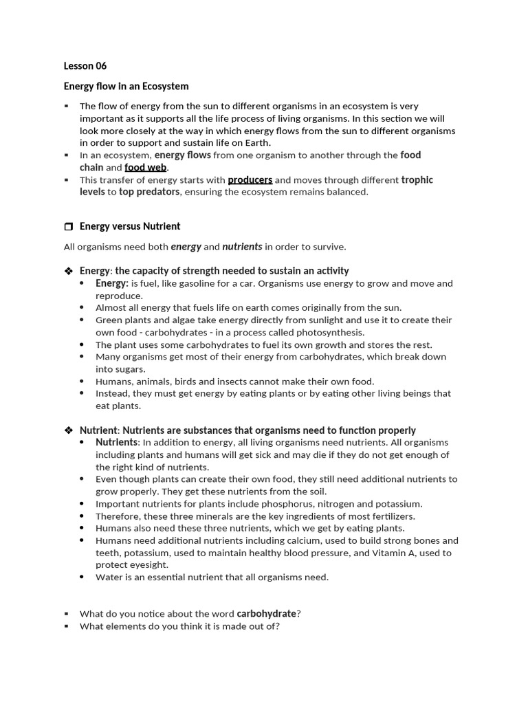 Understanding the 10% Energy Rule | PDF | Food Web | Foods