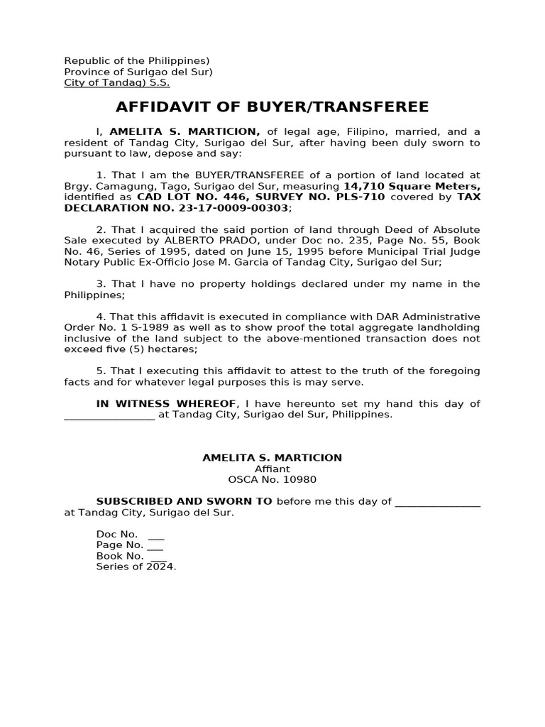 AFFIDAVIT OF BUYER TRANSFEREE - AMELITA S. MARTICION | PDF
