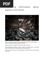 Fat Pigeons | PDF