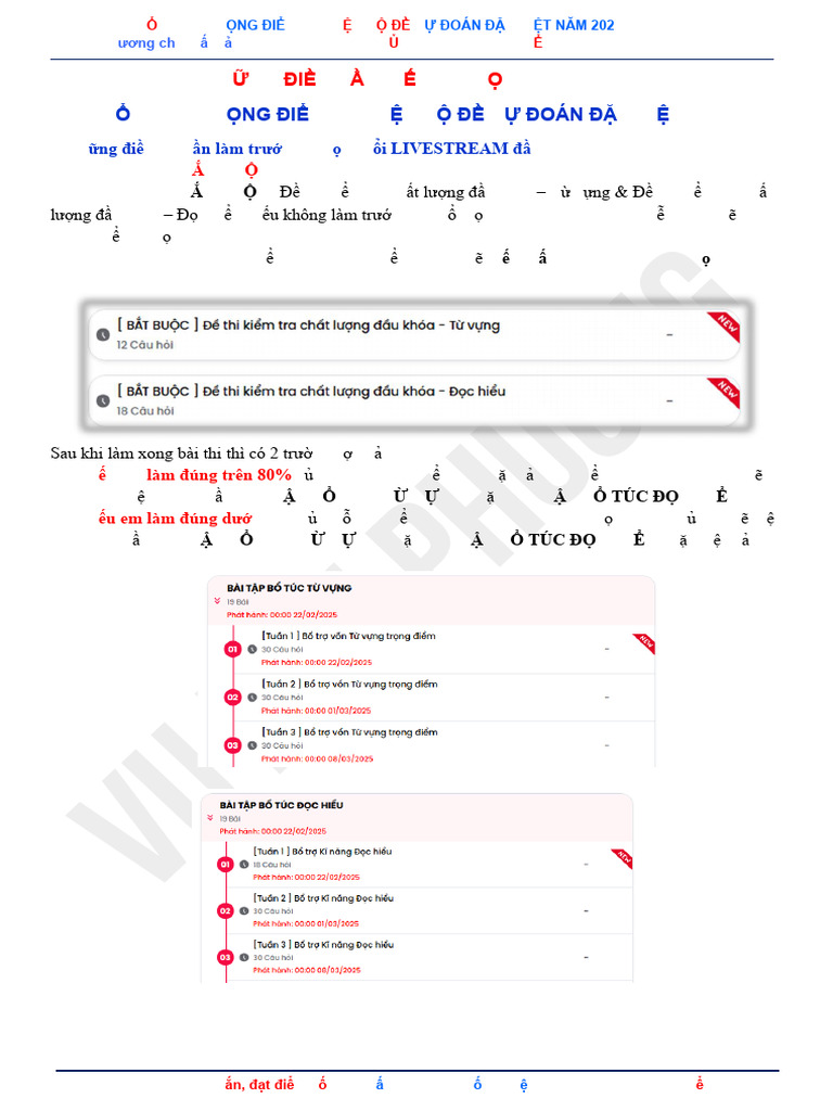 (Cô Vũ Mai Phương - Ngoai ngu 24h) VIP 90 và VIP 90 Plus 2025 - Hướng dẫn cách học và giải đáp ...