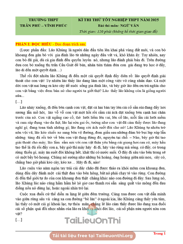 20. Đề thi thử tốt nghiệp THPT 2025 Ngữ Văn THPT Trần Phú - Vĩnh Phúc - có lời giải | PDF