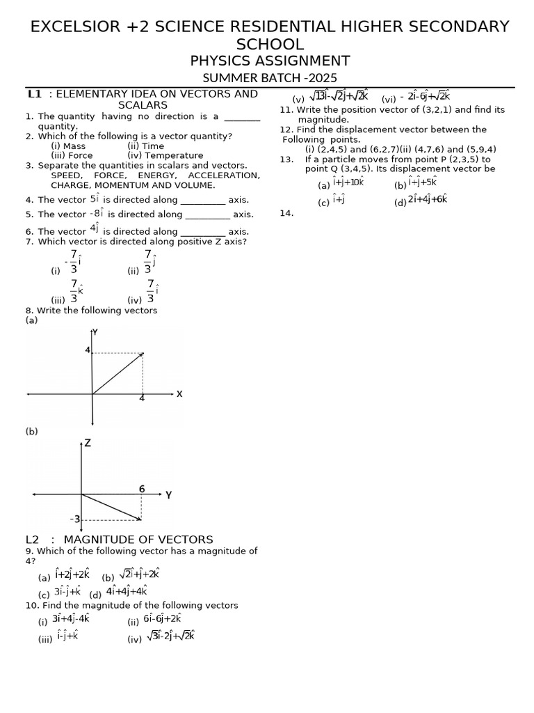 Summer Physics Assignment: Vectors | PDF