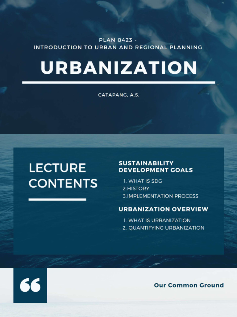 1.3 Urbanization | PDF
