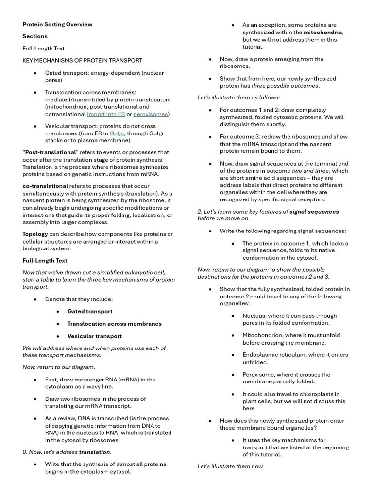 Protein Sorting Mechanisms Overview | PDF | Protein Targeting ...