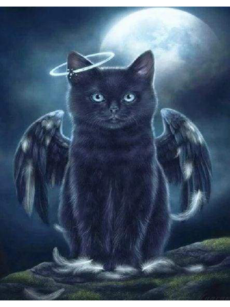Diamond Painting Black Cat Angel Animals Cats Global Figuredart Free ...