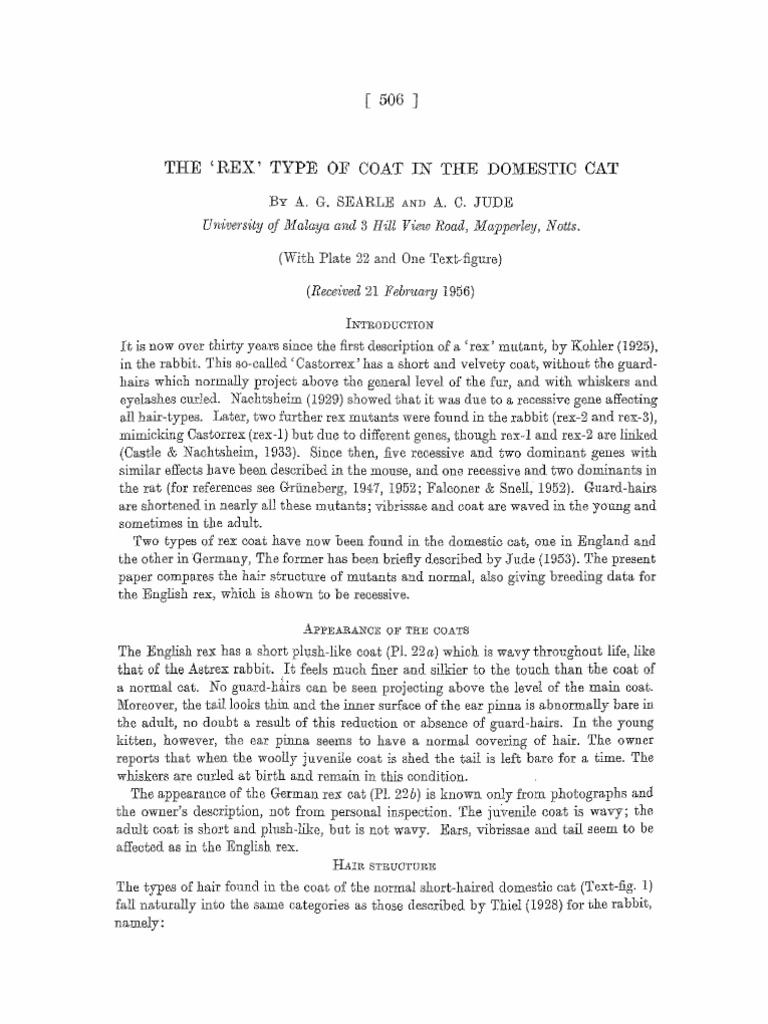 Rex Coat Types in Domestic Cats | PDF | Zygosity | Hair