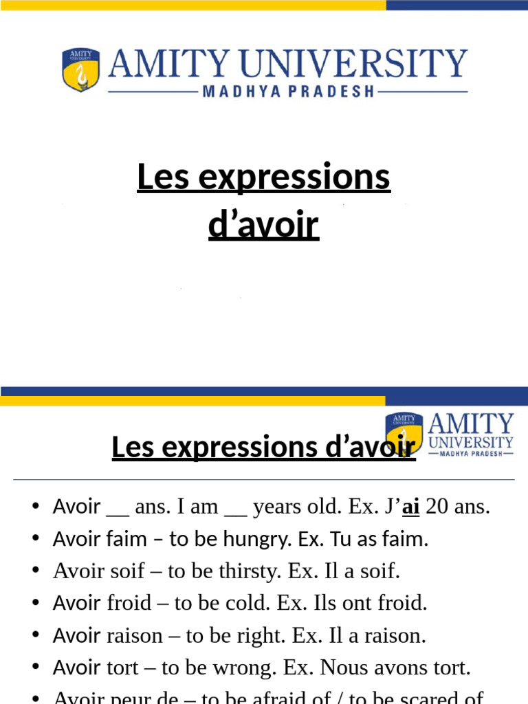 Expressions courantes avec "avoir" | PDF