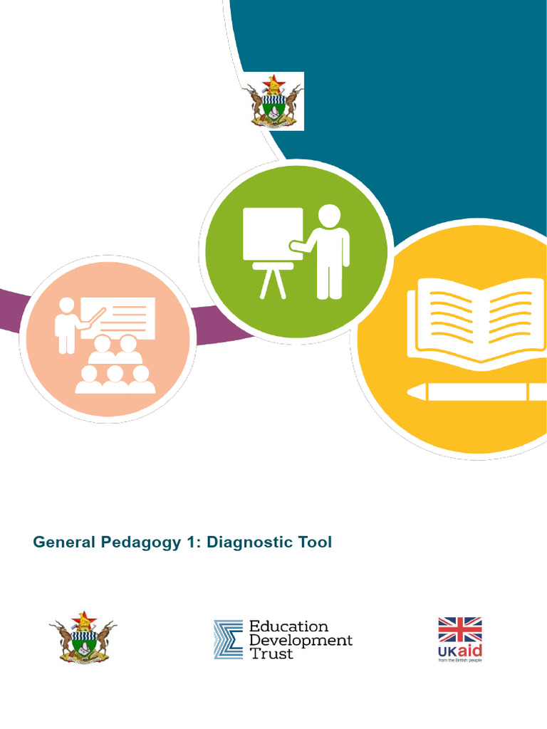 GP1 Diagnostic Tool | PDF | Teachers | Literacy
