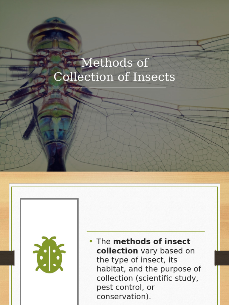 Insect Collection Methods Explained | PDF
