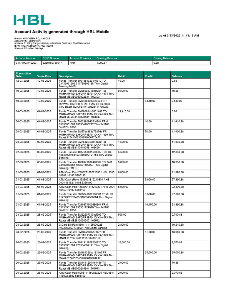 HBL Account Activity Statement 2025 | PDF | Banks | Debit Card