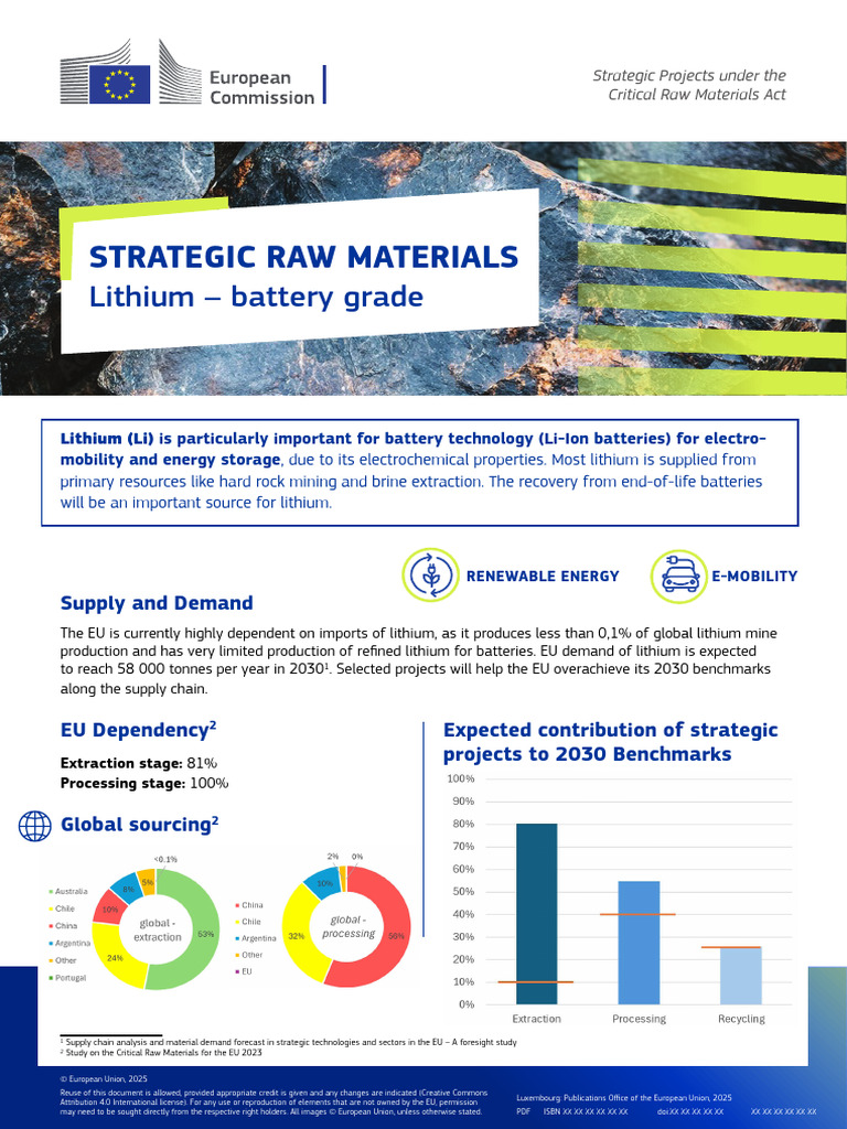 RMSP Lithium Factsheet | PDF
