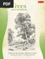 D06 - Spruce Tree | PDF | Drawing | Trees