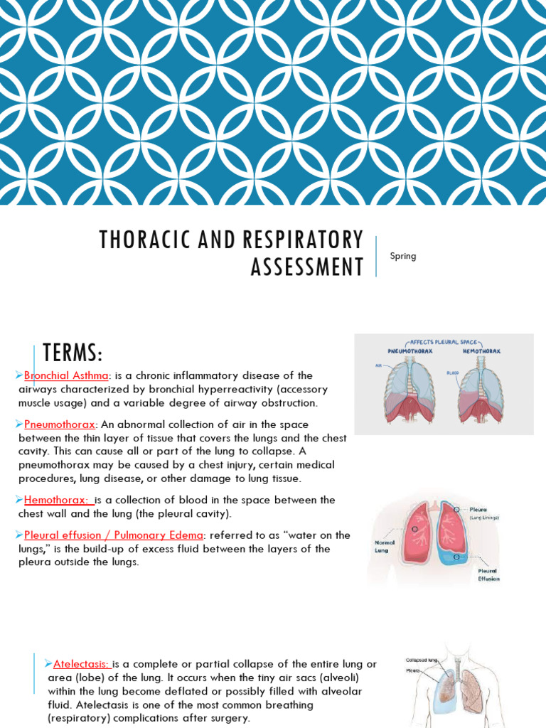 Thoracic and Respiratory Assessment Guide | PDF | Lung | Respiratory ...