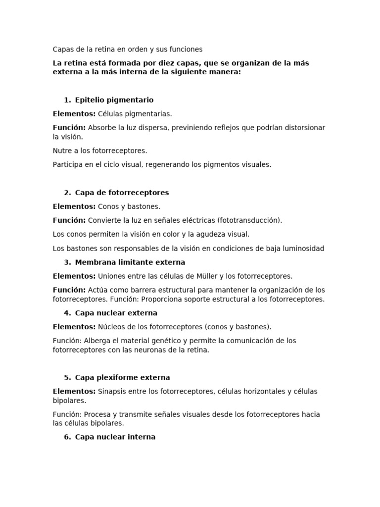 Capas de la retina y sus funciones | PDF | Percepción visual | Retina