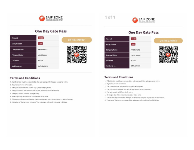 Saif Zone Entry Pass Manoj Udiet | PDF