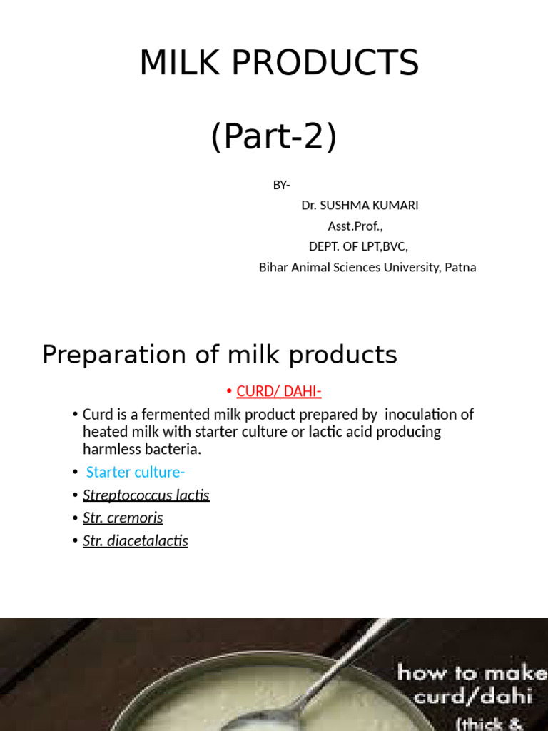 Milk Product Preparation: Curd & Yoghurt | PDF