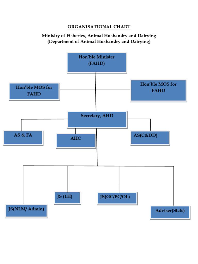AHD Organizational Structure Chart | PDF