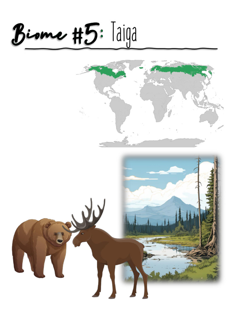 Understanding the Taiga Biome | PDF