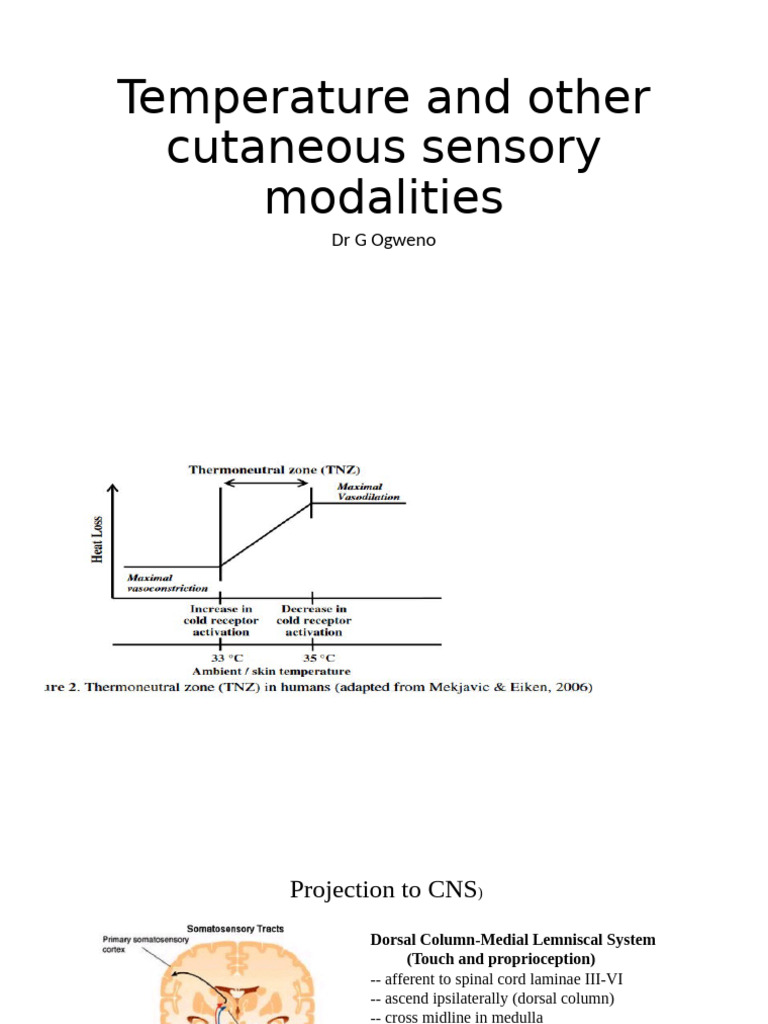 Extra Temperature Cutaneous Sensory Modalities | PDF | Somatosensory ...