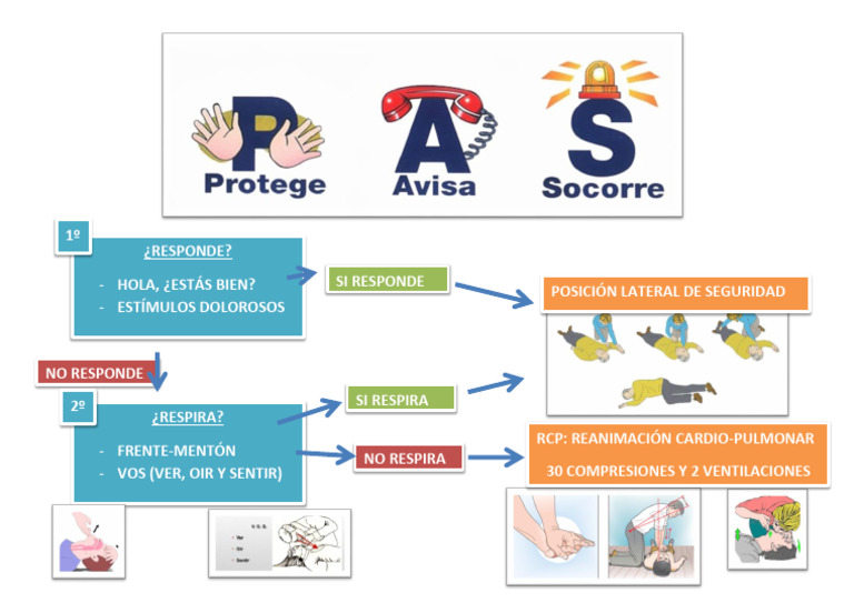 1 - P.A.S. (Proteger Avisar Socorrer) | PDF