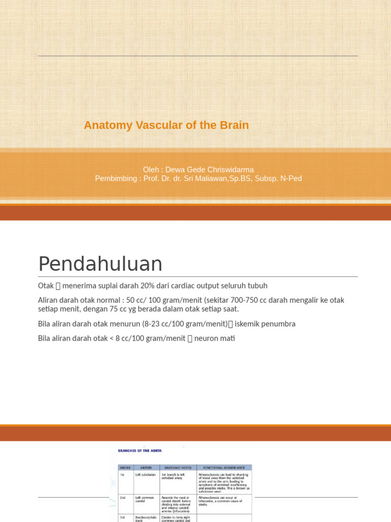 Vaskularisasi Anatomi | PDF