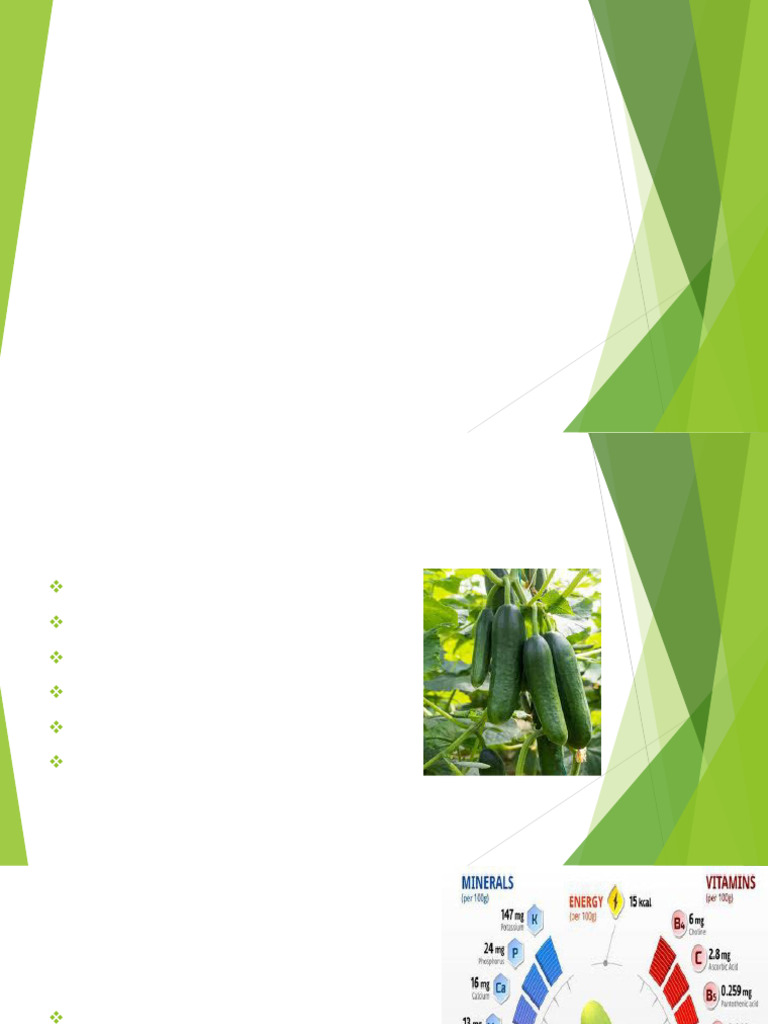 Cucumber Production Technology PPT 29-2-2024 | PDF | Cucumber | Flowers
