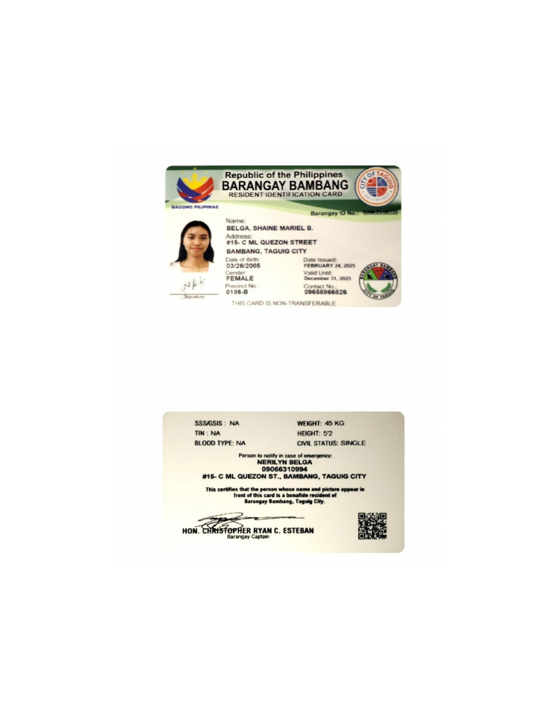 Ids at Comelec | PDF