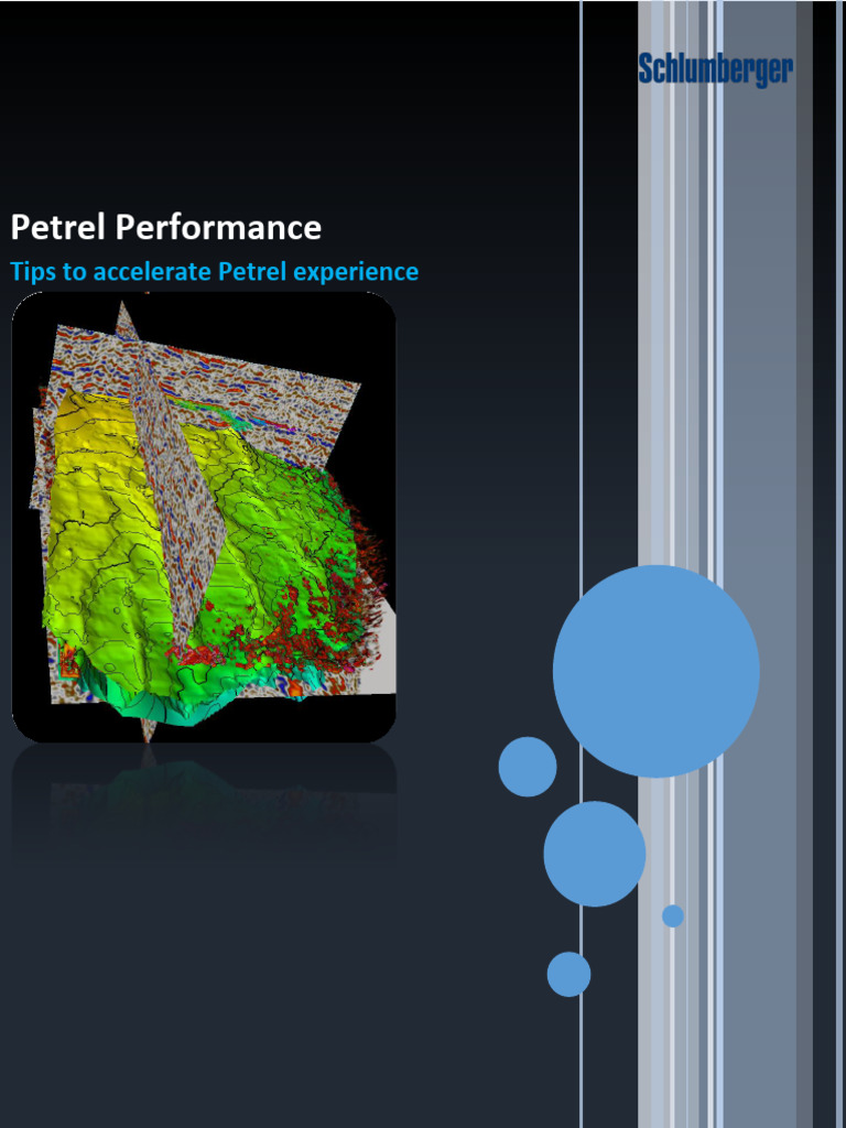 Petrel Performance Optimization Guide | PDF | Graphics Processing Unit ...