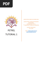Petrel Well Correlation Techniques | PDF | Icon (Computing) | Tab (Gui)