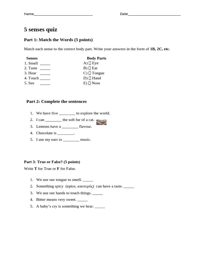 5 Senses Quiz | PDF