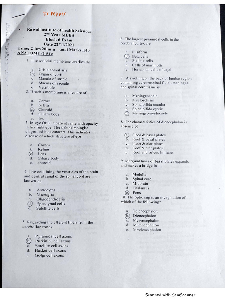Block 6 Paper (2021 Rechecked | PDF
