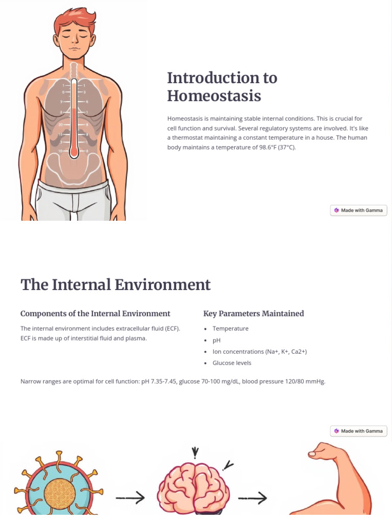 Introduction To Homeostasis | PDF | Homeostasis | Physiology