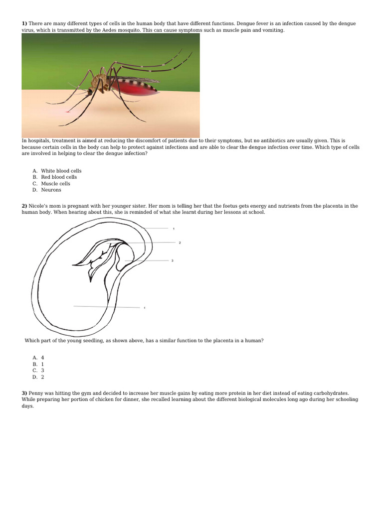 2024 StemCo Biology 11-12 | PDF | Enzyme | Enzyme Inhibitor
