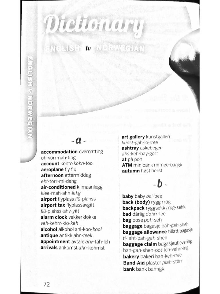 Norwegian Dictionary Phrases | PDF