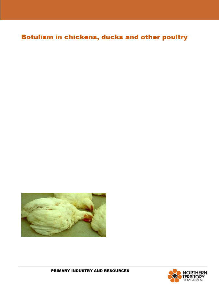 Botulism in Chickens Ducks and Others | PDF | Human Diseases And ...