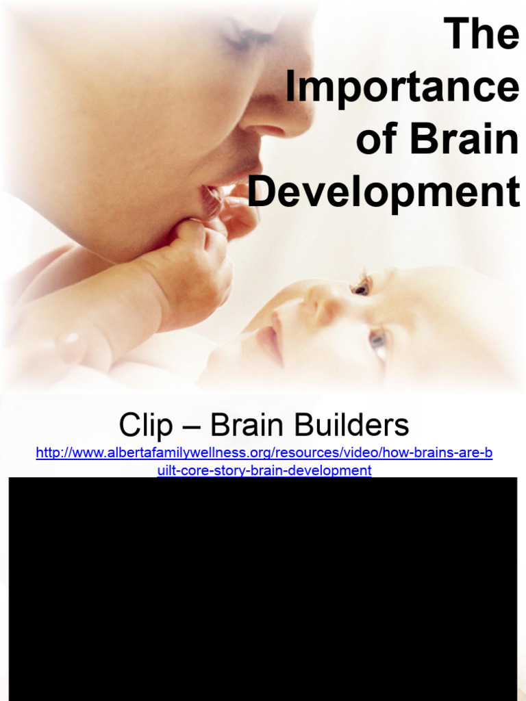 The Importance of Brain Development | PDF | Brain | Nervous System