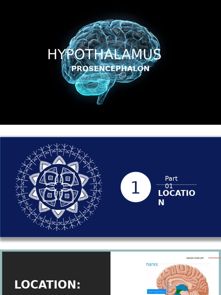 Hypothalamus | PDF