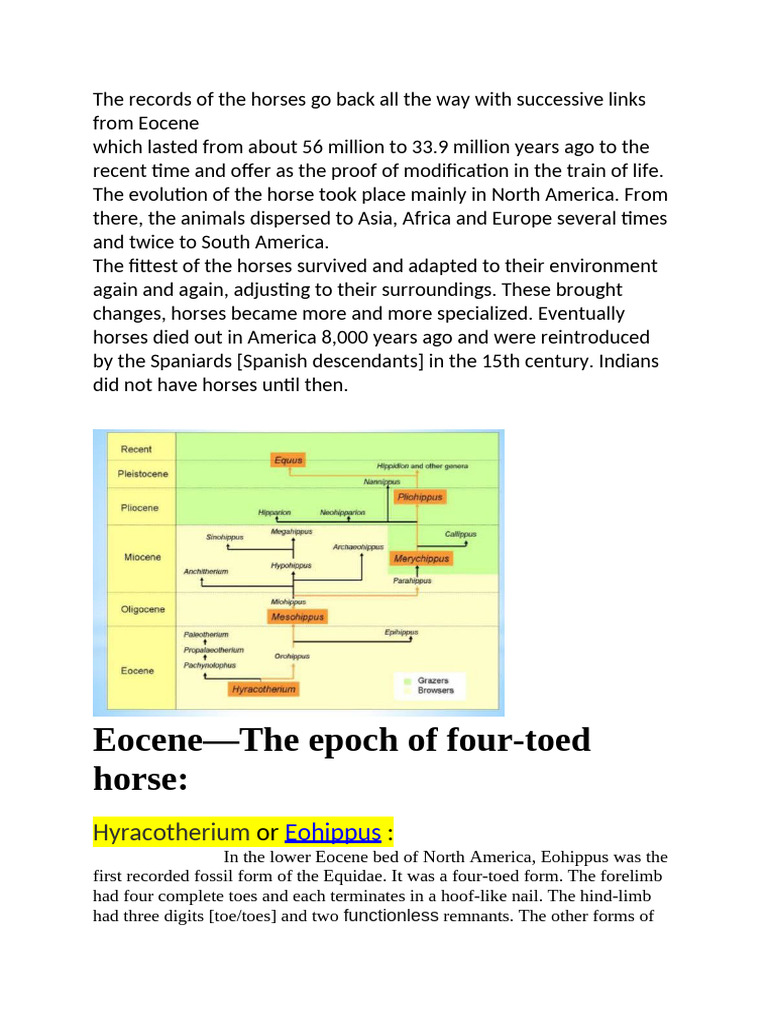 Phylogenetic tree content- horses | PDF | Equus (Genus) | Horses