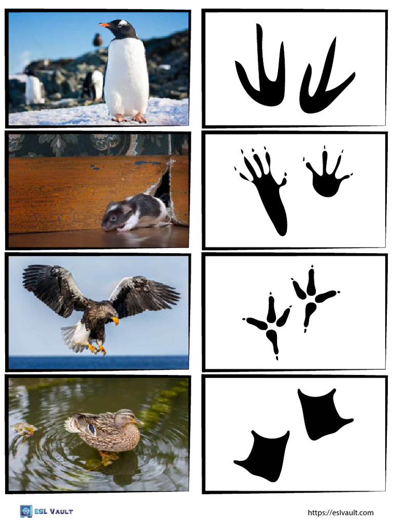 free-animal-footprints-matching-game-4 | PDF