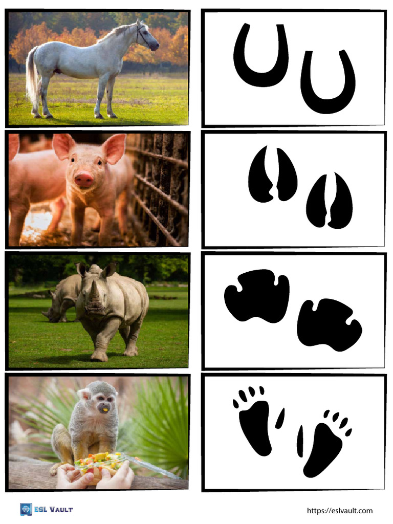 Free Printable Animal Tracks Matching Game 3 | PDF
